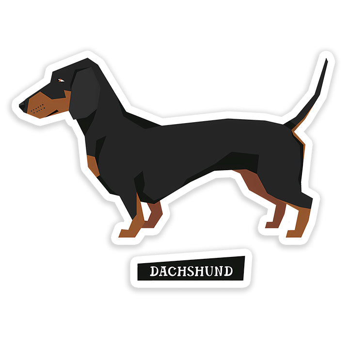 Dachshund dog Sticker – Dank N Drip